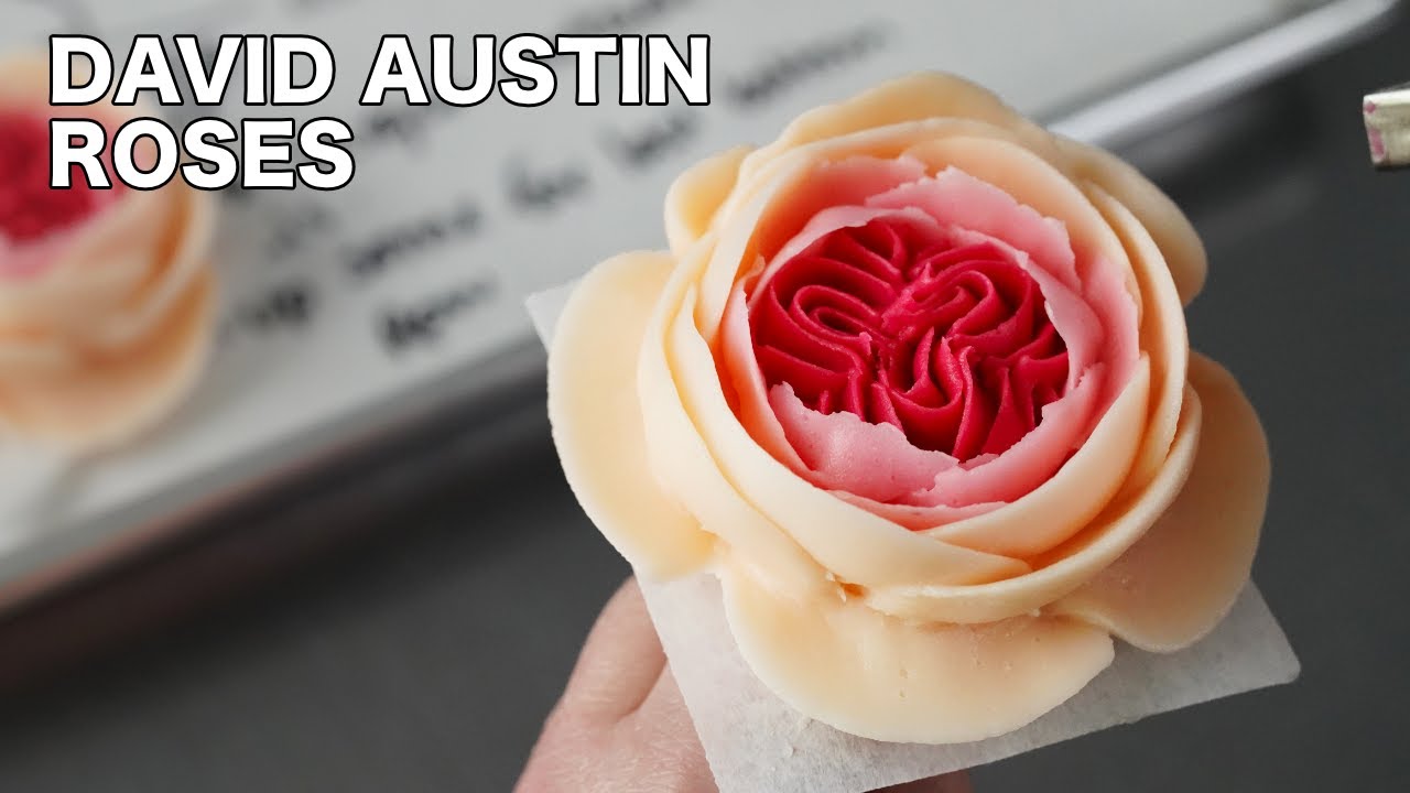 How to pipe david austin roses [ Cake Decorating For Beginners ] - YouTube