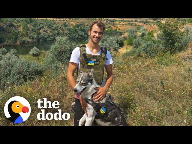 Husky Found All Alone Next To A Destroyed Tank | The Dodo - Videos For Kids
