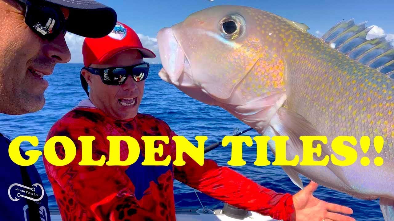 GOLDEN TILE FISH A TUTORIAL WITH TECNICAS DE PESCA Y MAS - YouTube