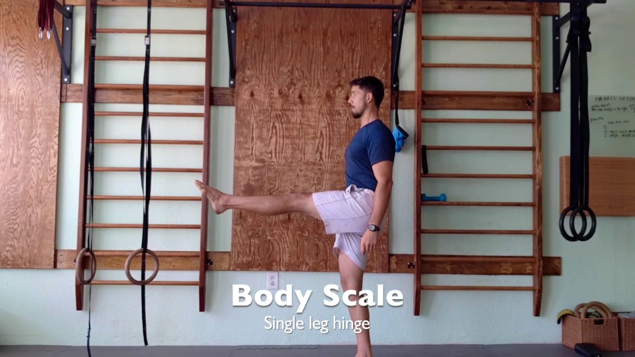 Body Scale (Demo) - YouTube