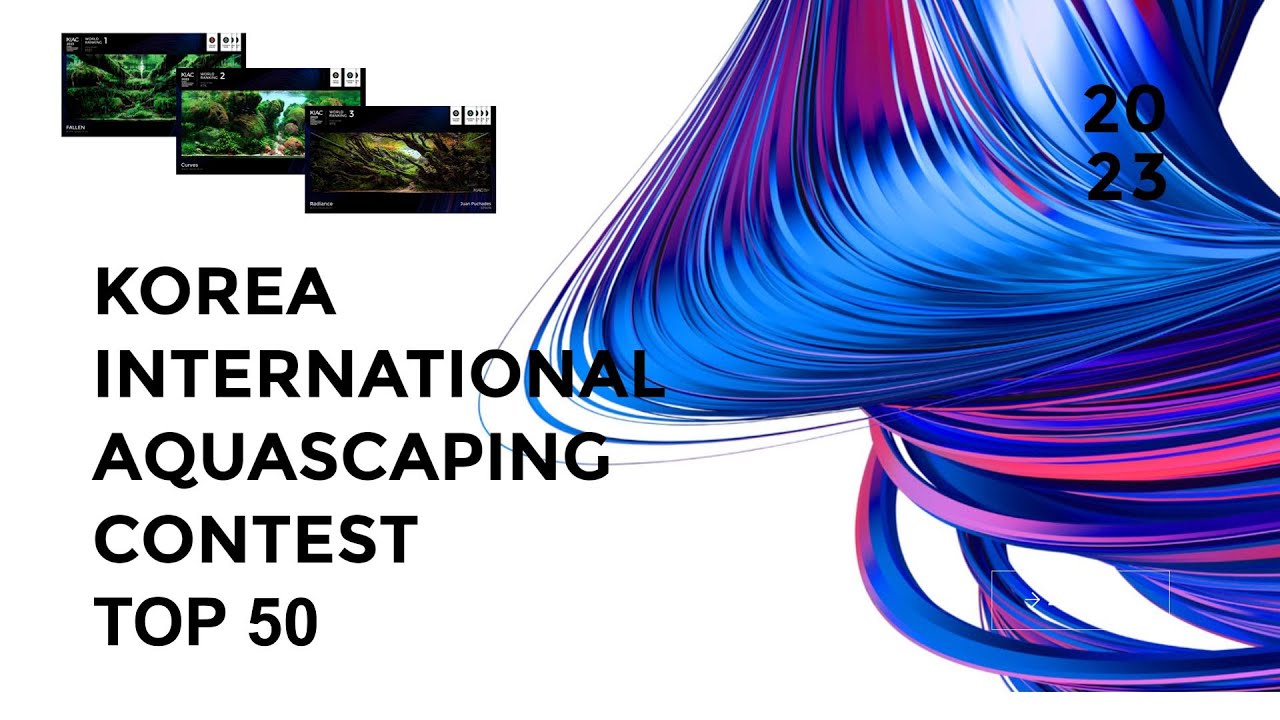 KIAC 2023 TOP 50 - YouTube