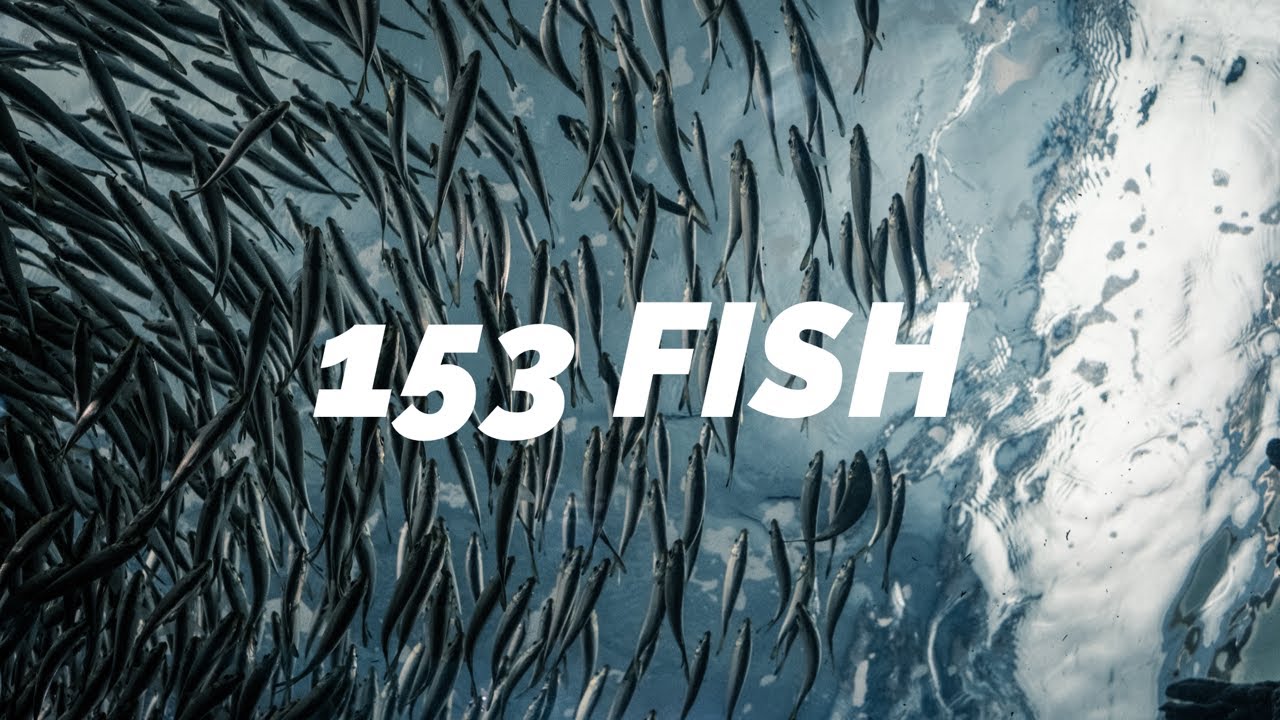 153 Fish - YouTube