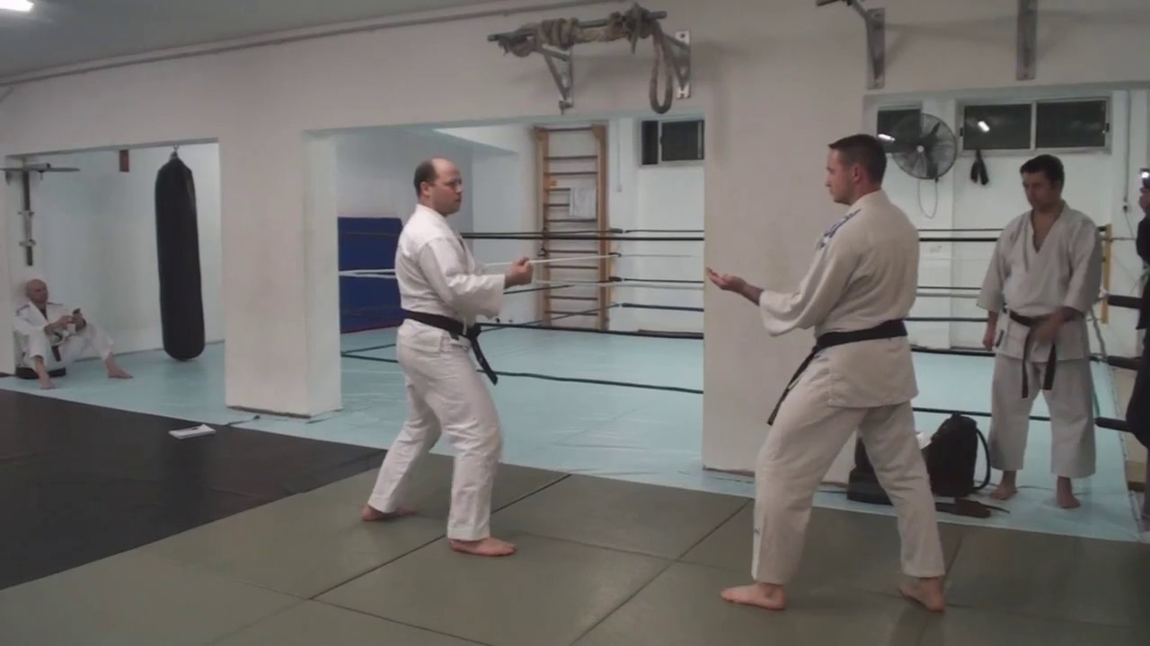 Bushinkan Jiu-Jitsu Israel, Motobu-ryu 2014 - YouTube