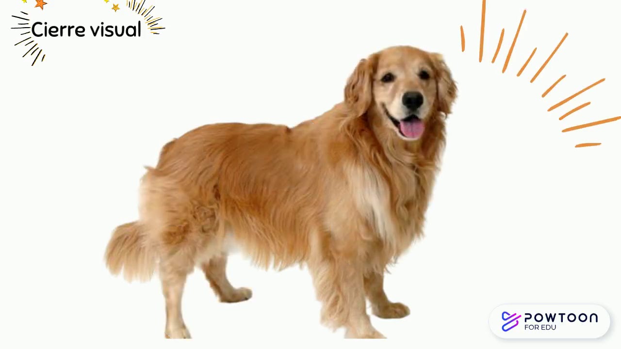 CIERRE VISUAL. ACTIVIDAD PARA NIÑOS. - YouTube