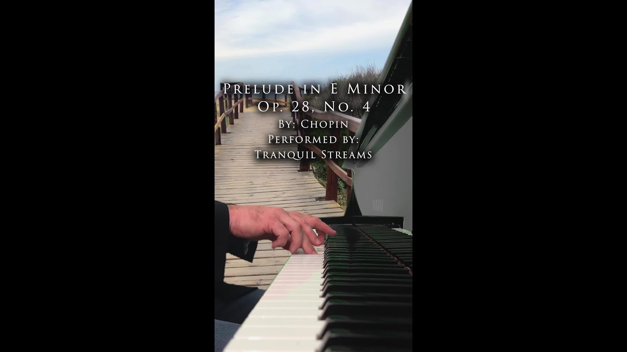 Chopin’s Prelude in E Minor: A Journey of Sorrow - YouTube