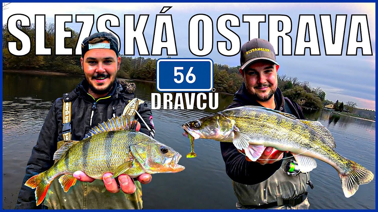 Lov dravých ryb s gumovou nástrahou (Speciál BO RYBA) - YouTube