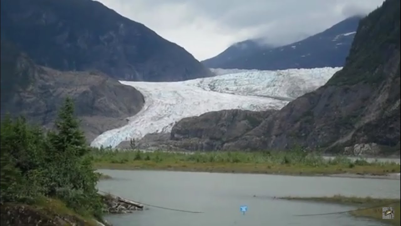Visiting the salmon hatchery, Mendenhall glacier and salmon bake in ...