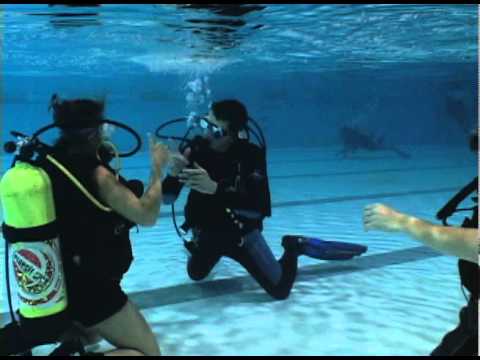 Scuba Diving Pool Session.dv - YouTube