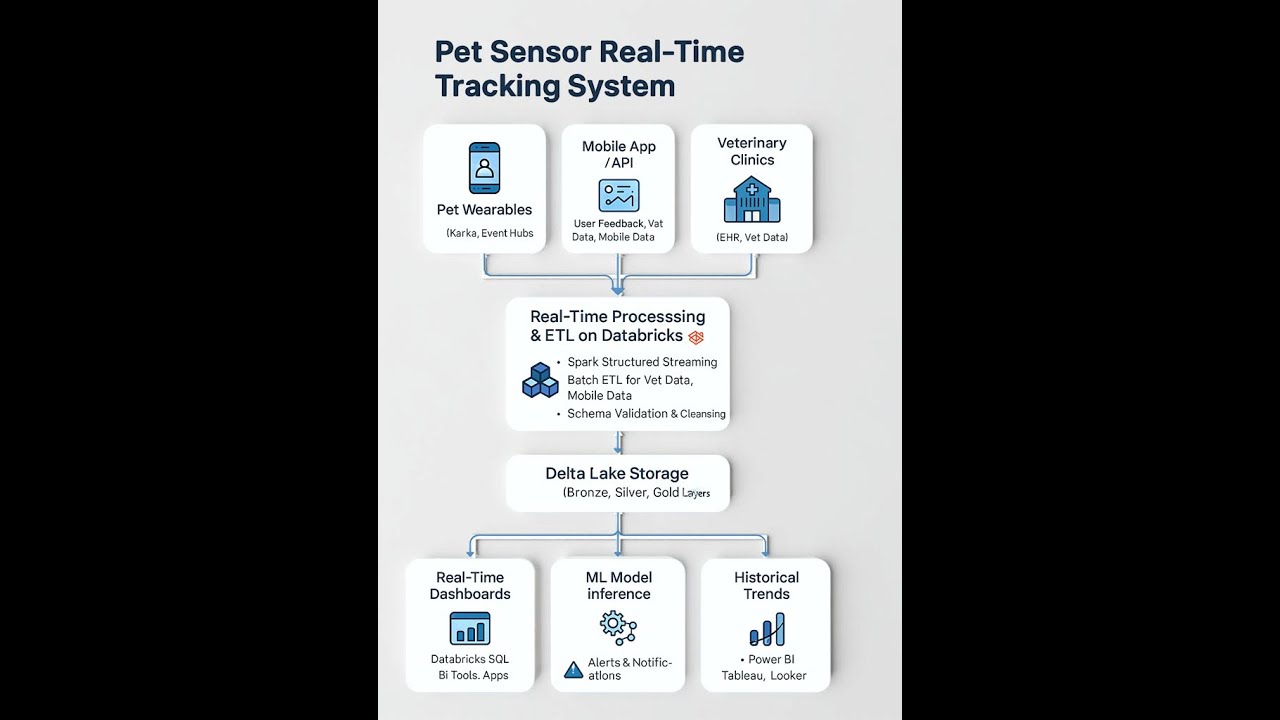 Databricks: Pet Sensor Real-Time Tracking System - YouTube