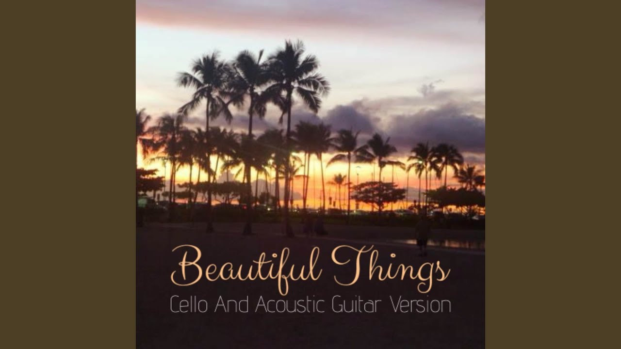 Beautiful Things (Cello And Acoustic Guitar) - YouTube