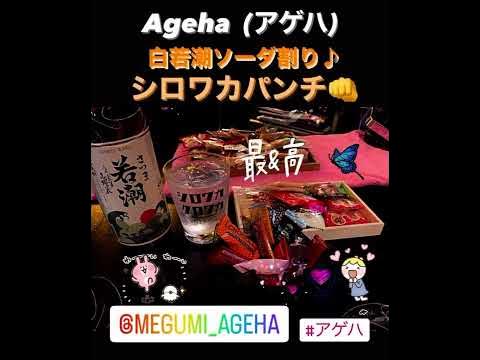 Ageha (アゲハ) 様 lounge ラウンジ snack スナック 志布志銀座街 志布志市 焼酎 若潮酒造 ほんわかくん - YouTube