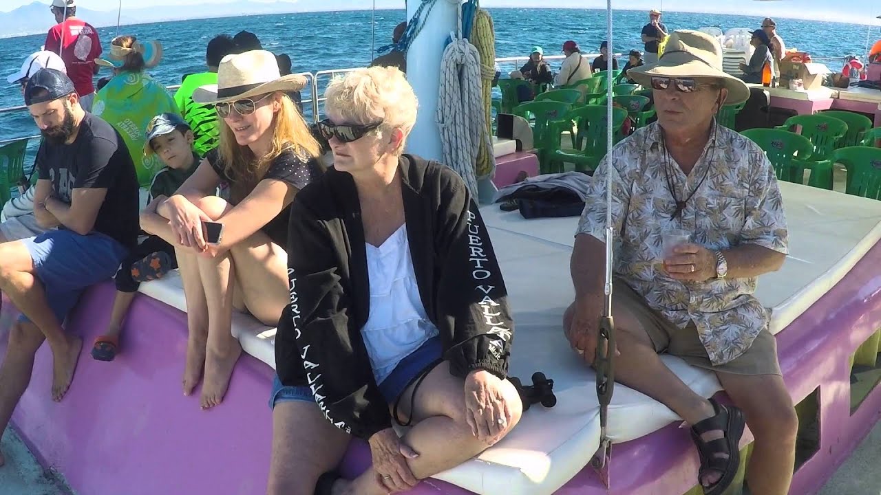 Disco Boat Whale Watching Extravaganza - YouTube