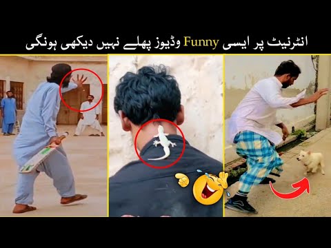 Funny Videos That Will Make You Laugh | Most Viral Funny Moments On ...