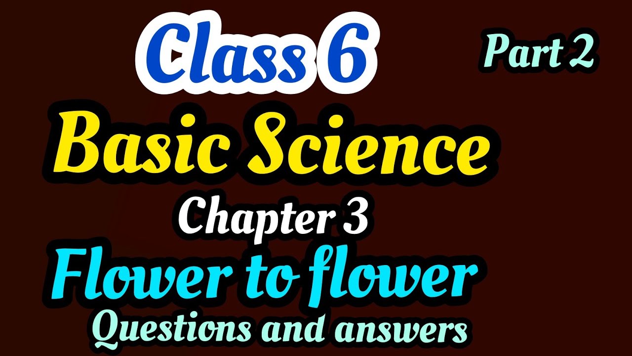 Scert Class 6 Basic Science Chapter 3 Flower To Flower Part 2 scert-class-6-basic-science-chapter-3-flower-to-flower-part-2