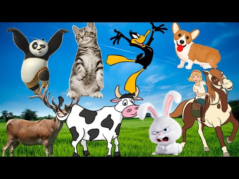 Let's meet some animal sights and sounds. #Animals #Wildlife - YouTube
