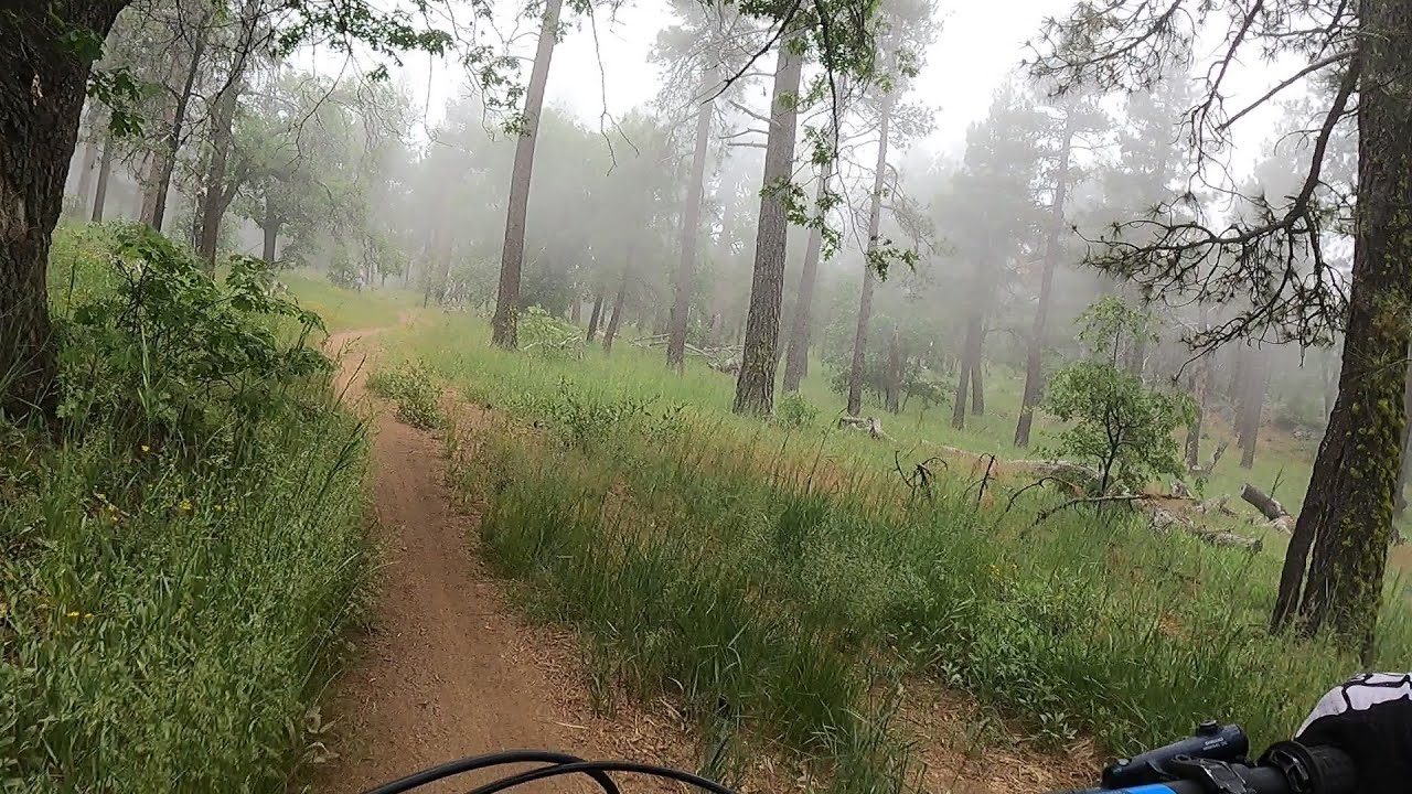 The Luge & Los Gatos Ravine Trails, Mount Laguna, CA - YouTube