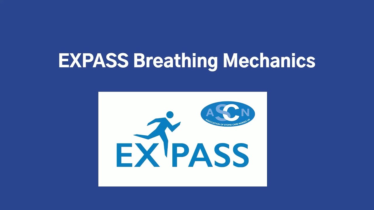 EXPASS - Breathing Mechanics - YouTube