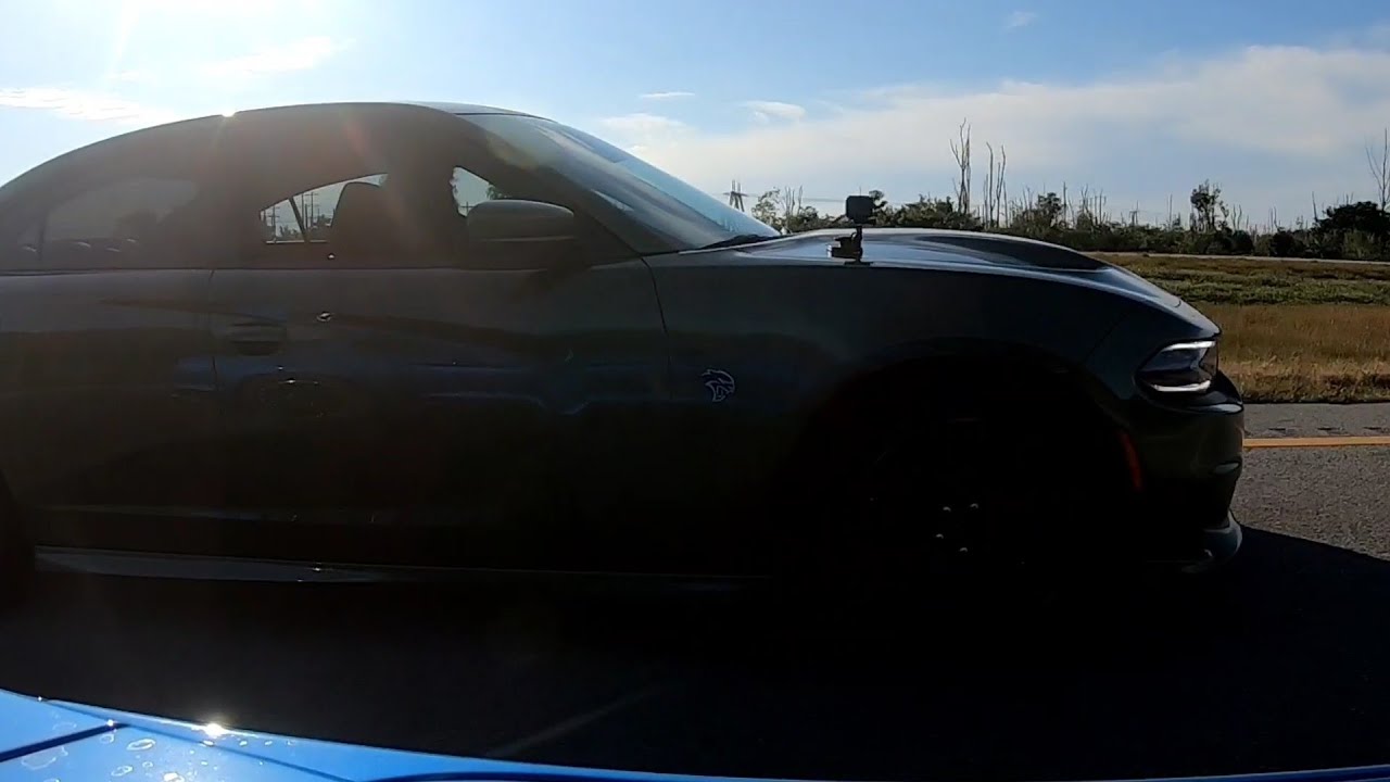 ProCharged 2019 5.0 vs Hellcat FBO - YouTube