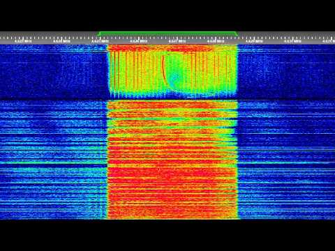 The Buzzer (UVB-76) 6 voice messages in 1 hour - June 24 (2026)