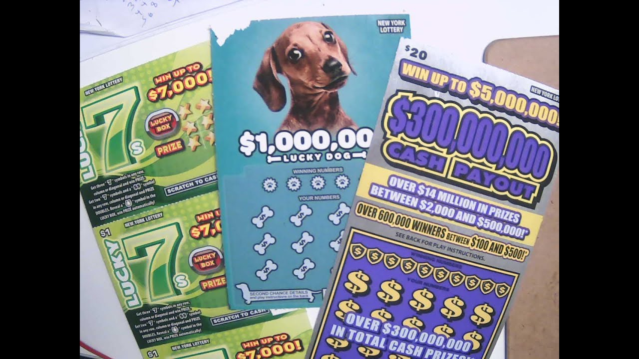 $28 Scratchin' Journey w/ Lucky 7's, Lucky Dog, and $3 Million Cash ...