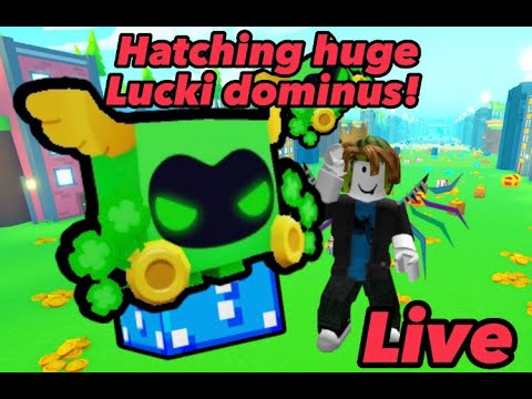 LIVE!TRYING TO HATCH HUGE LUCKI DOMINUS-PET SIMULATOR X - YouTube