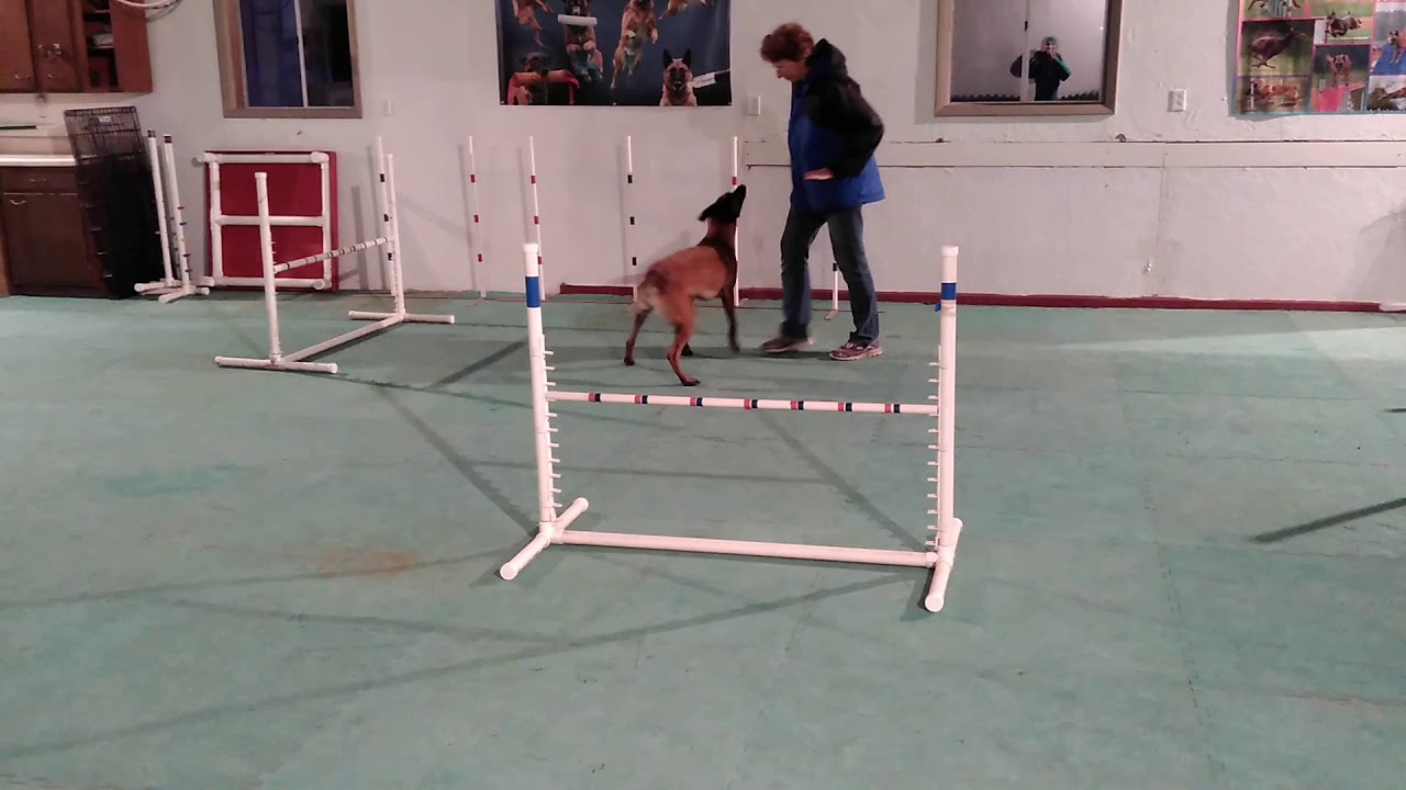 Agility handling Challenge with Cseze - YouTube