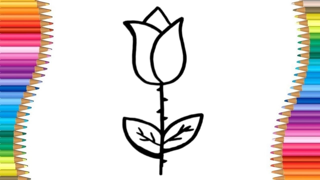 How to Draw + Color a Rose Super EASY Realistic | Super Easy Drawing ...