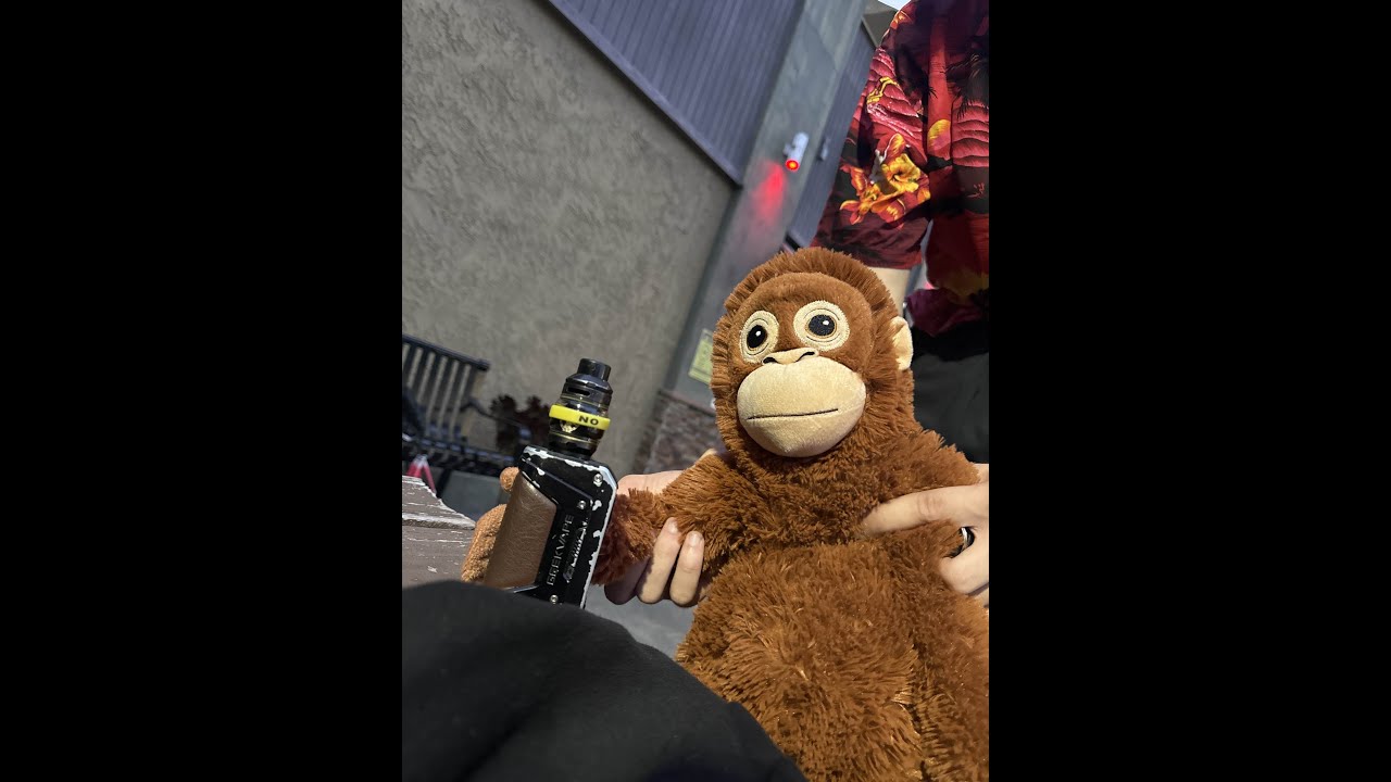 N1 monkey bidness - YouTube