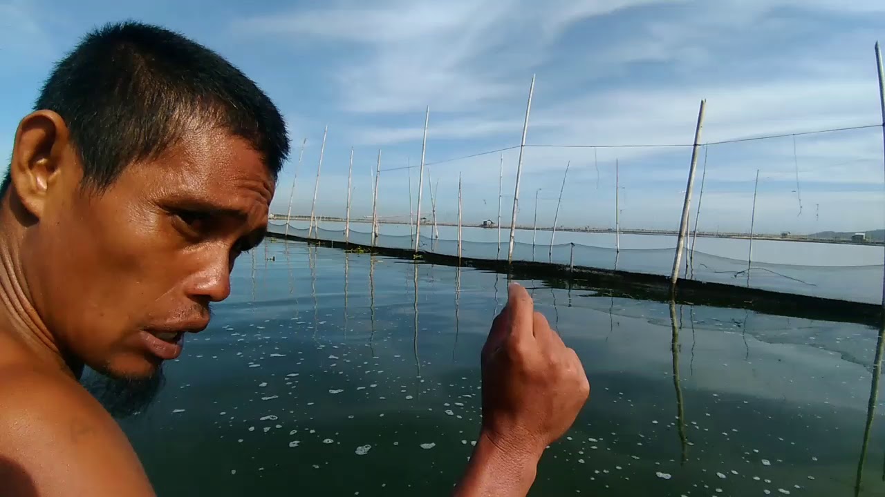 Buluan Lake Tour | Maguidanao - YouTube