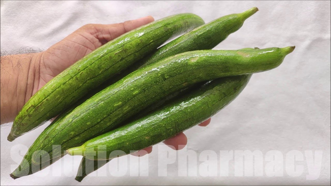 Health Benefits of Dodka (Soft Gourd) = डोडका या डोडका की सब्जी खाने के ...