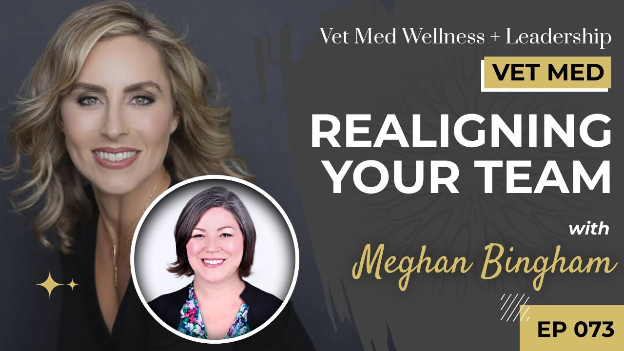 Episode 73: Realigning Your Team with Meghan Bingham - YouTube