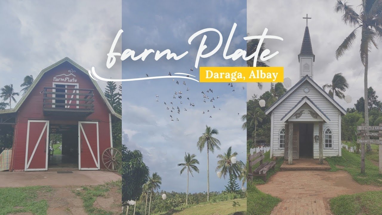 Farm Plate | Daraga Albay | A Bittersweet Moment - YouTube