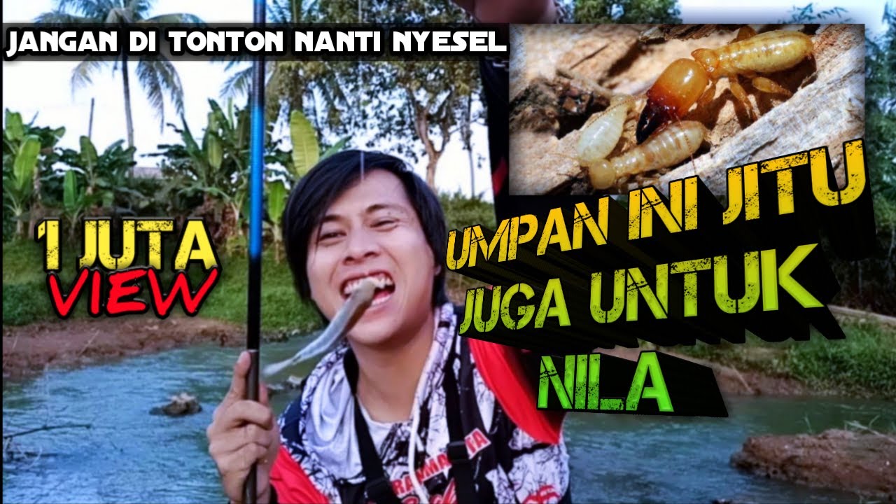 Pantang menyerah mencari spot mancing sampai mau magrib akhirnya dapet ...