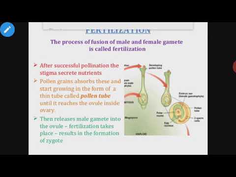 Class 7th subject biology topic fertilization ..fruit and seed ...