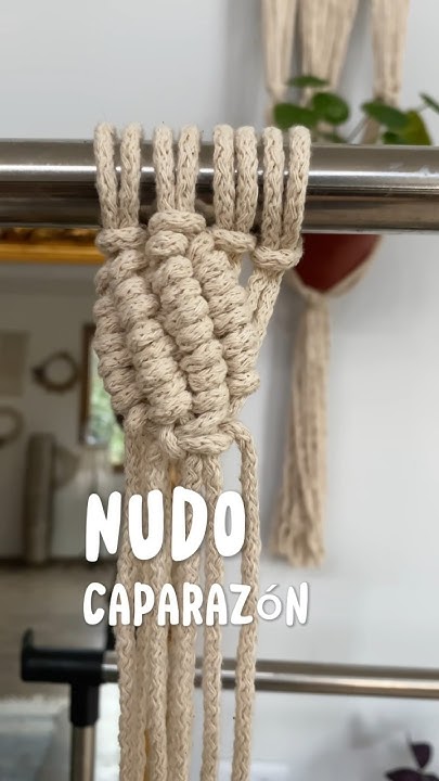 Nudo Caparazón Macramé #macrametutorial #tutorialmacrame - YouTube