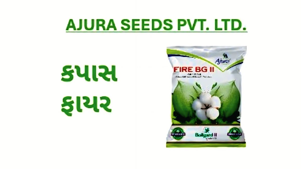 કપાસ ફાયર || Cotton Variety || AJURA SEEDS PVT. LTD. || #agriculture # ...