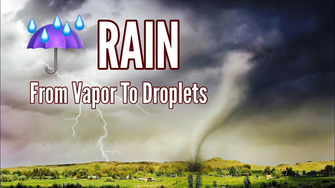 The WATER Cycle Explained - From CLOUDS to RAINdrops | What Really ...