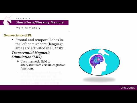 MEF Üniversitesi | PSYC 101 | Introduction to Psychology 1 | Midterm I + Midterm II