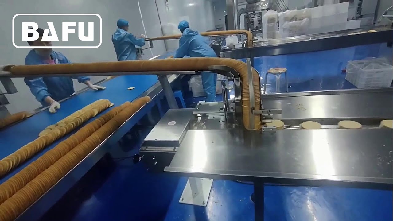 biscuit packaging machine, cookies packaging machine, cracker packaging ...
