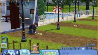 How to get money tree part 1 of 4 (Sims 3)