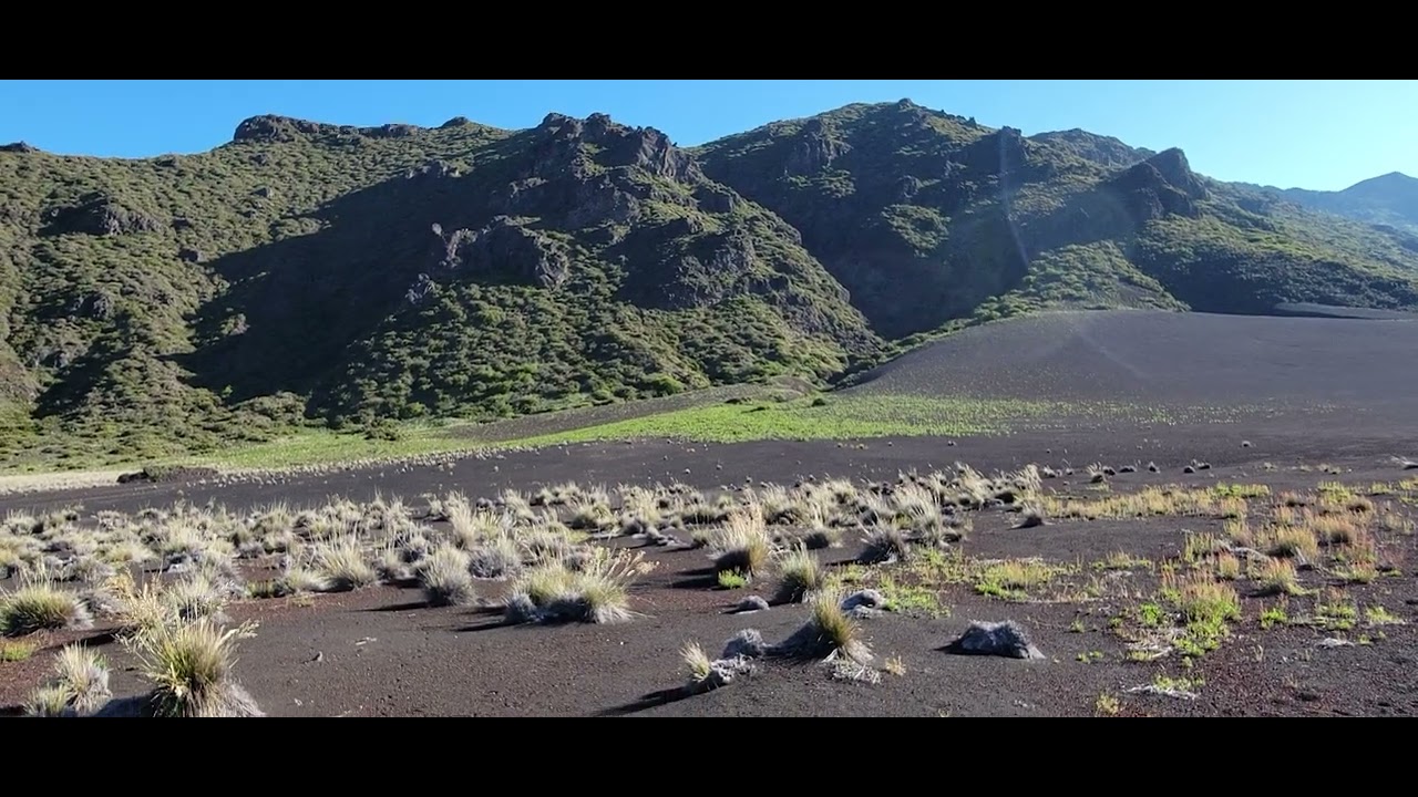 Maui 232 - Haleakalā Alpine Desert Flowers - YouTube