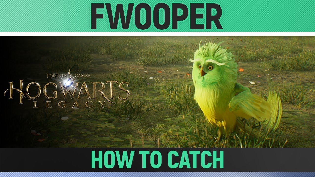 Hogwarts Legacy - Fwooper Location - How to Catch - YouTube