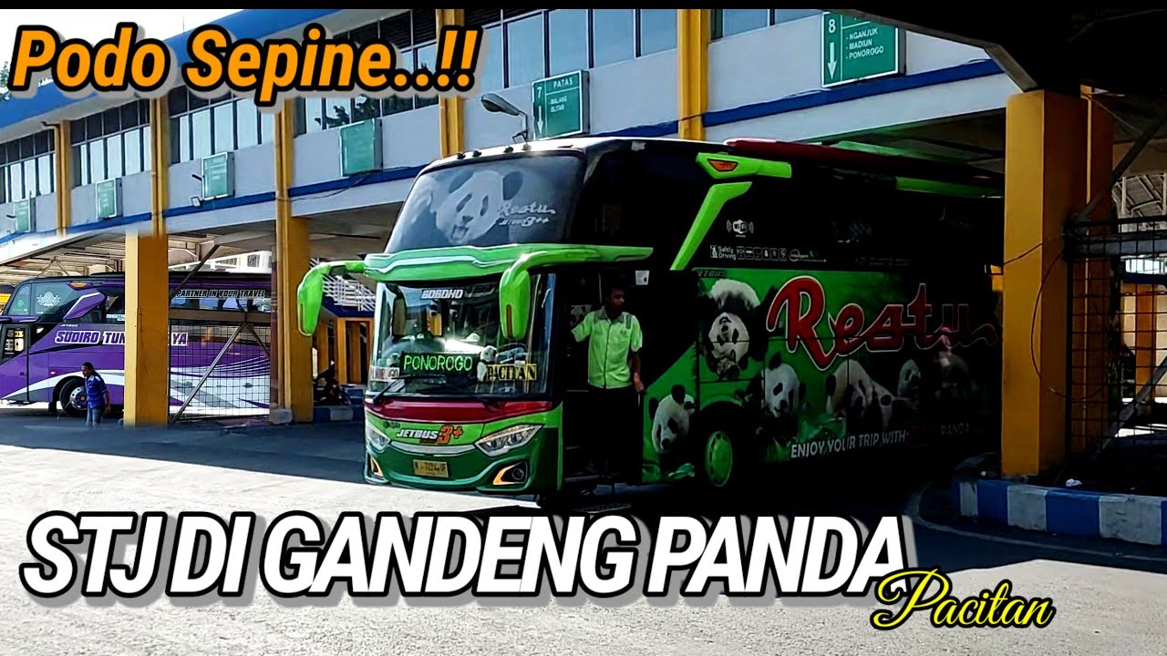 PENUMPANG SEPI || STJ SHYLO DI SURUNG RESTU PANDA PACITAN - YouTube