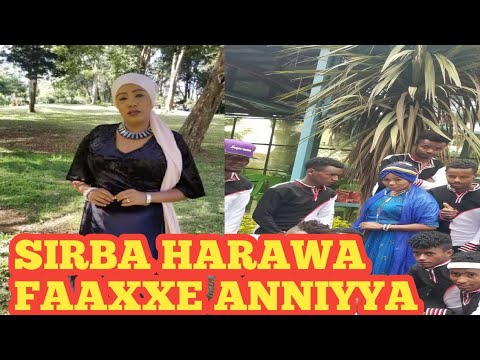 Sirba koo harawa issin biran gahuuf qophira jira guutu isaa argaachun ...