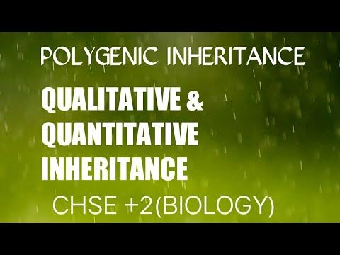 polygenic inheritance | Qualitative & Quantitative inheritance|Genetics| Botony |Class 12 |Chse ...