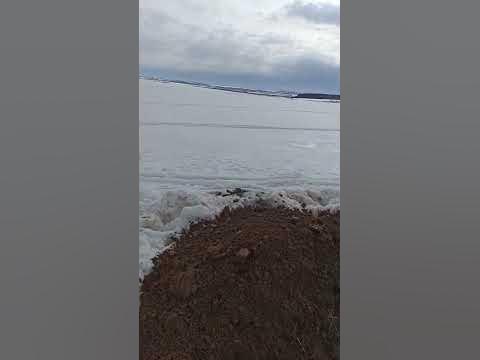 Охота на гуся Копаем засидку часть 1 ))) - YouTube