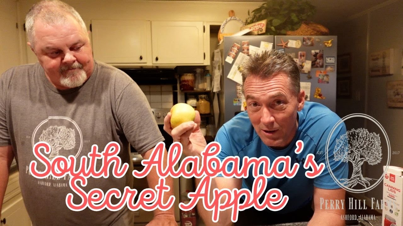 South Alabama’s Secret Apple: The Shell Apple Taste Review - YouTube