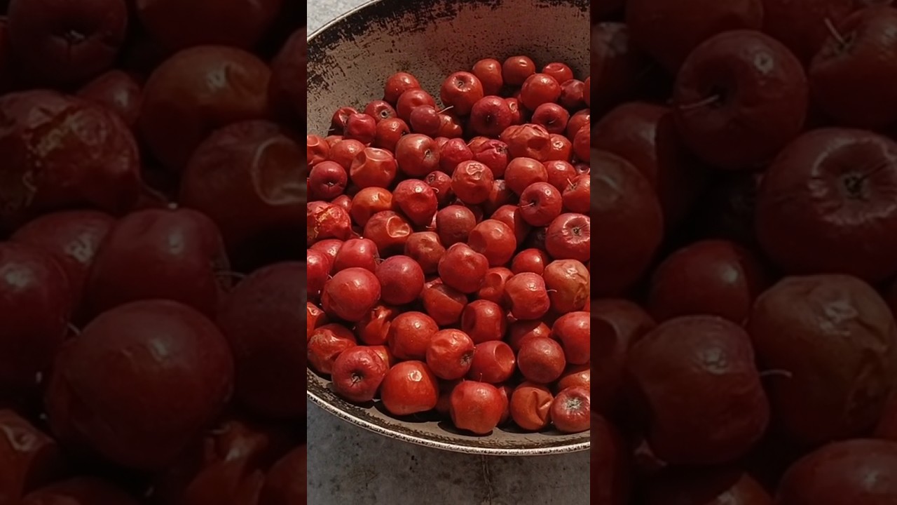 #tasty deshi boro koli🤤🤤🤤 ️ Desi boro koli shorts 🤤🤤 viral video boro ...