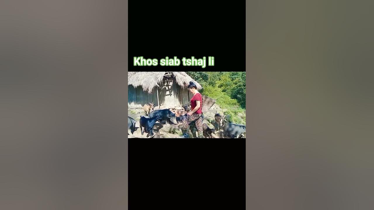 mus saib tshi me es pem toj siab kho siab kawg li os - YouTube