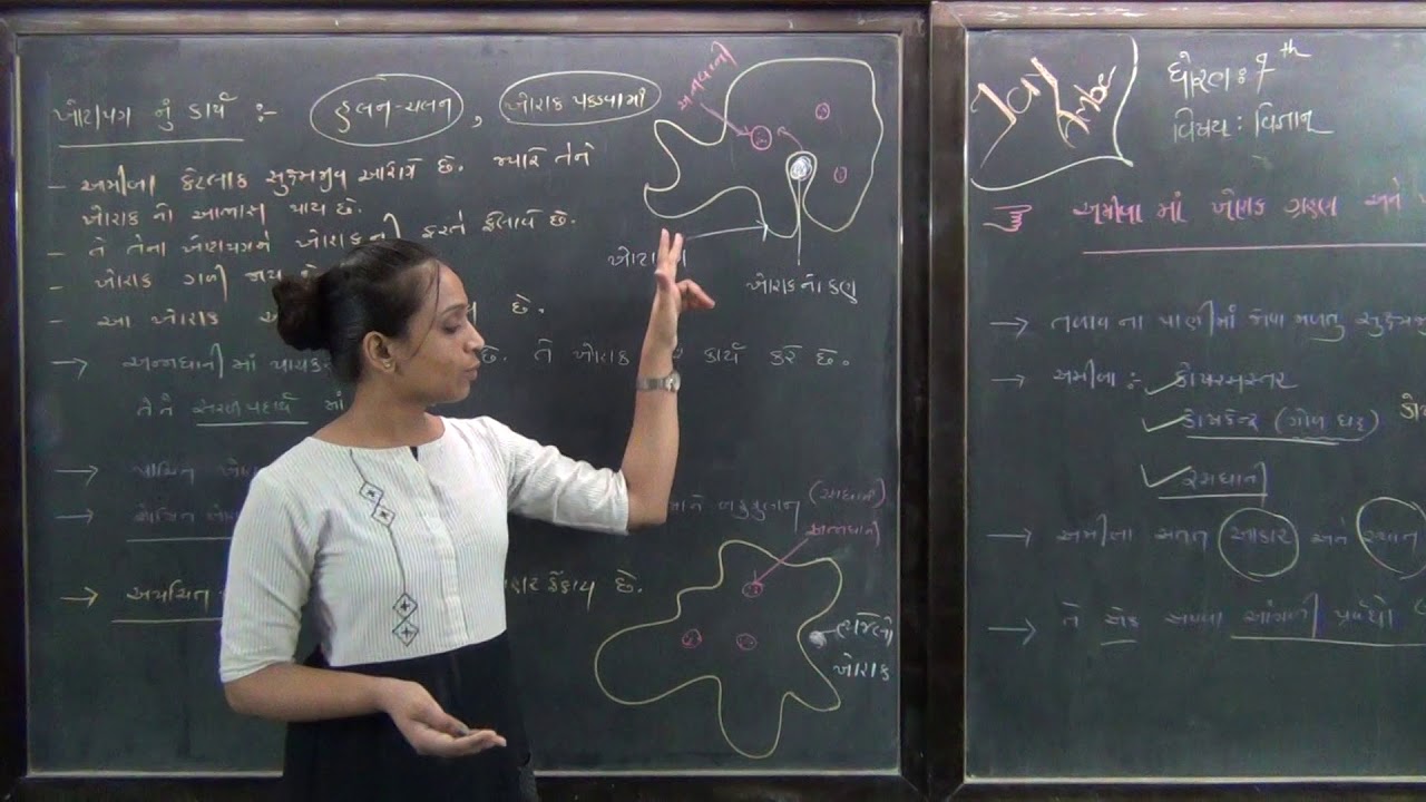 STD 7 SCIENCE CH 2 VIDEO 9 - YouTube